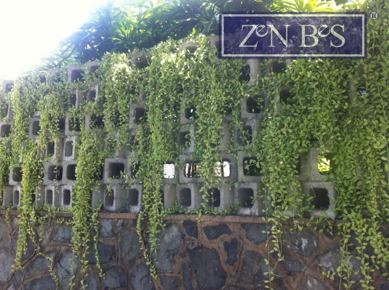 Projects - Zenbes Malaysia